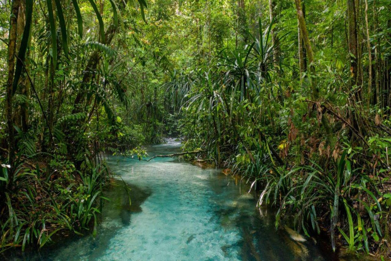 Tour Packages | RAJA AMPAT EXPLORER